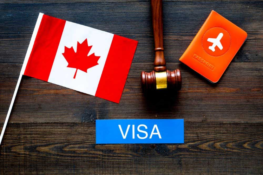 Getting Started with Bet Plus: Activate Your Pass to Premium Content